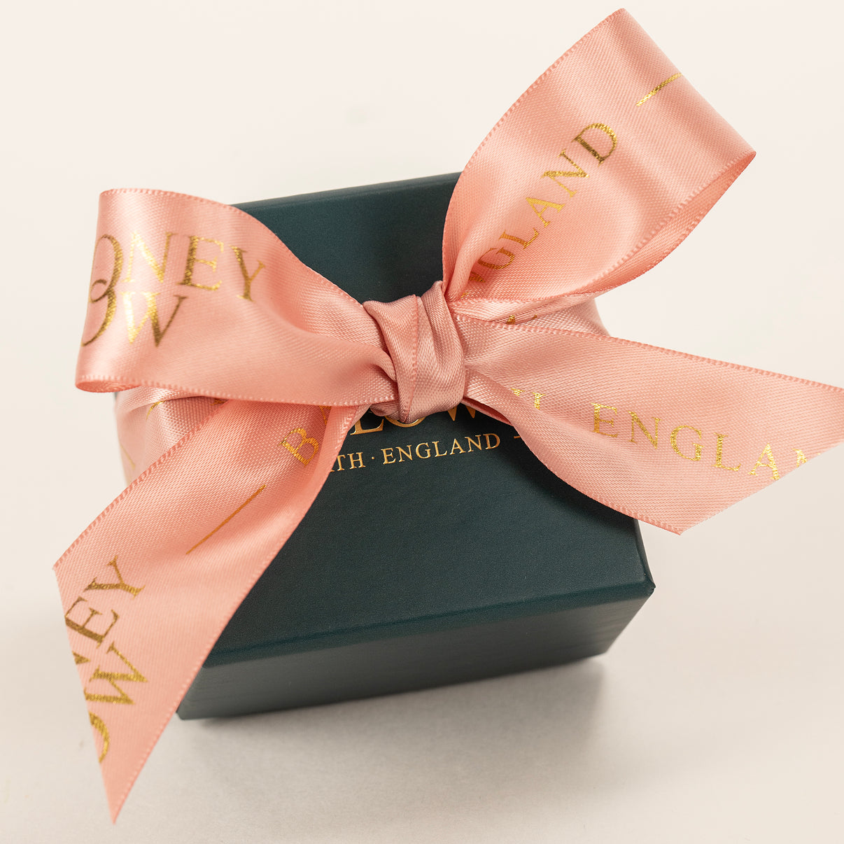 Entwined Ring - Silver - Linked for a Lifetime – Honey Willow ...